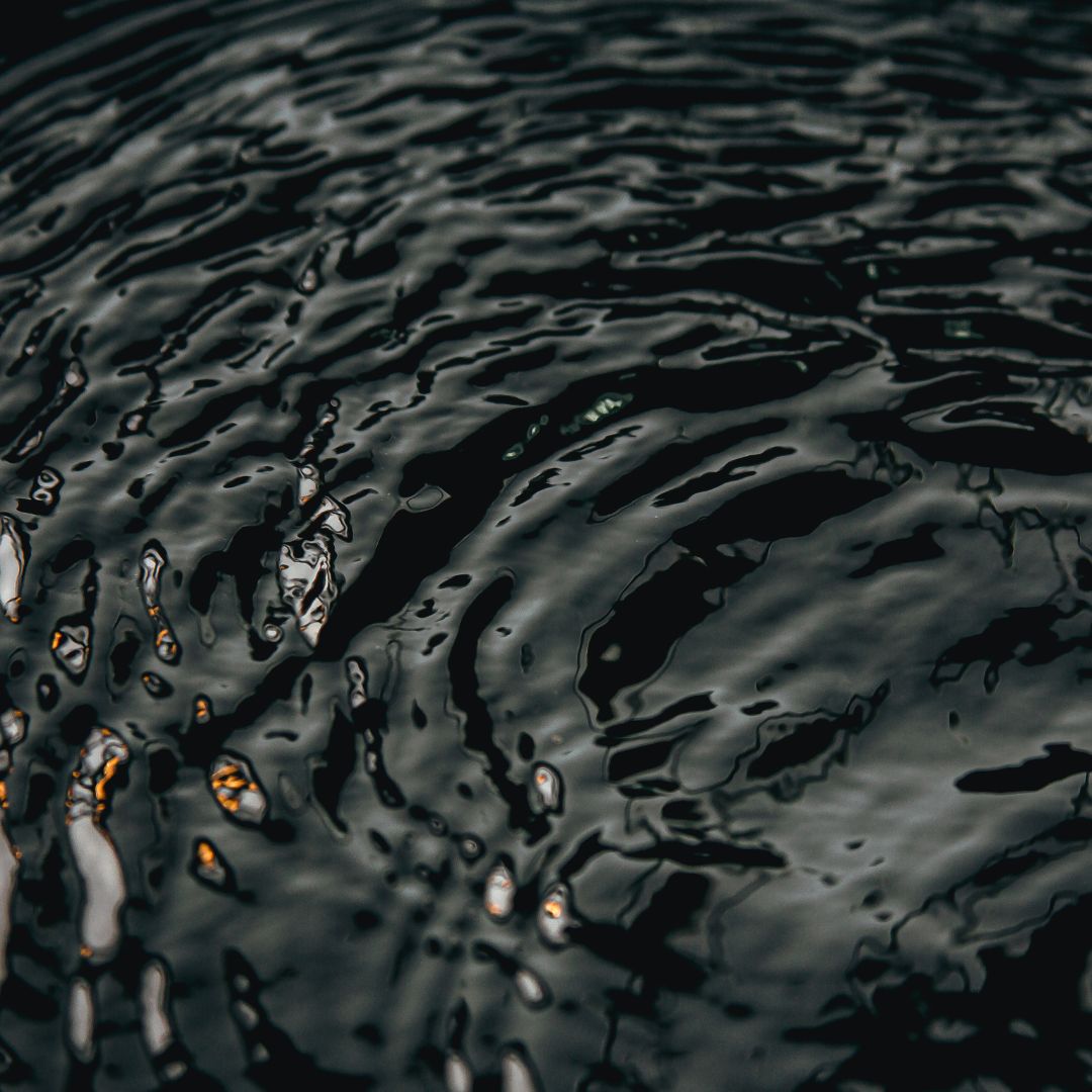 Lança o teu pão sobre as águas - Explicação COMPLETA